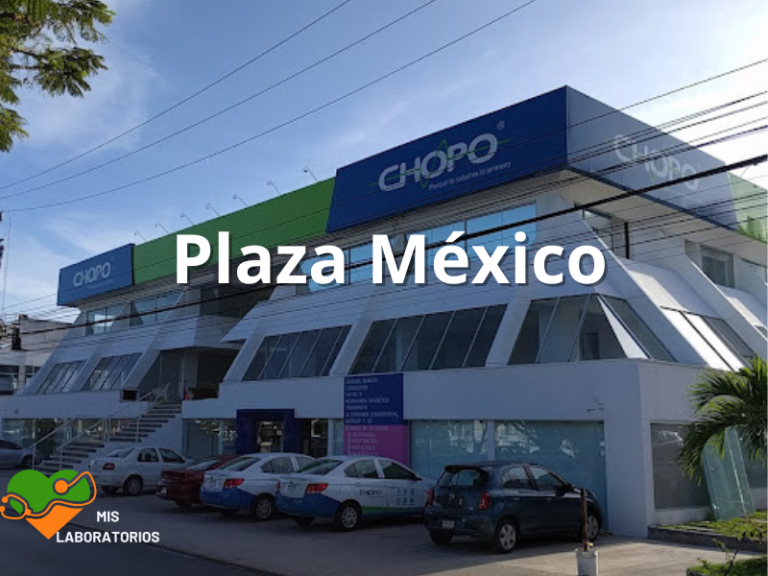 lllᐅ Chopo Plaza México Teléfono ☎️ Horarios⏰【Cita】