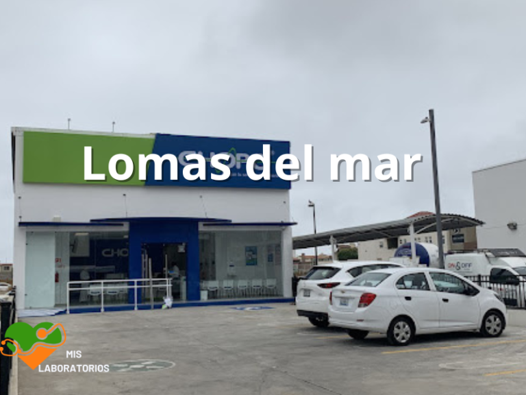 lllᐅ Chopo Lomas del Mar Teléfono ☎️ Horarios⏰【Cita】